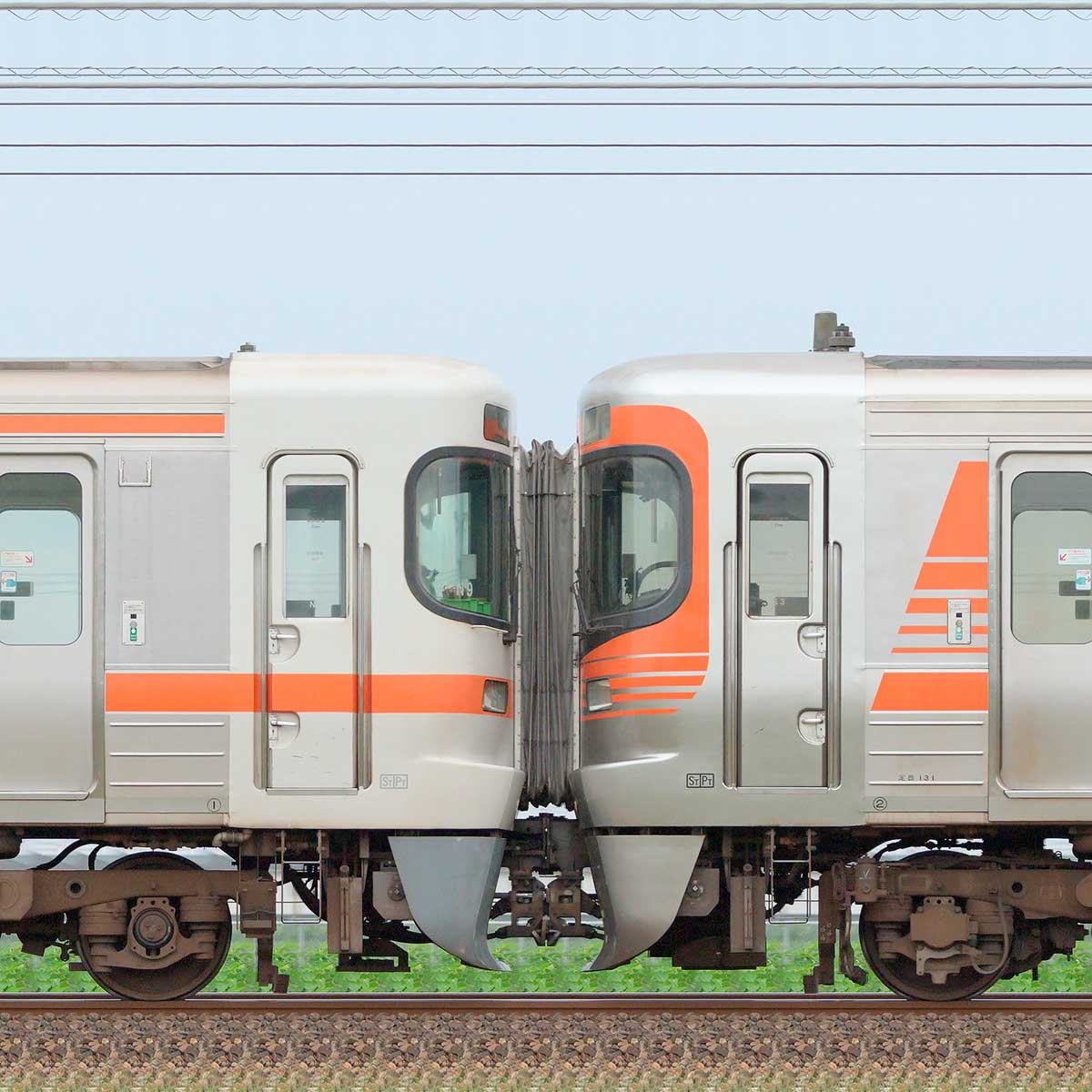 JR東海静岡車両区313系2600番台N9編成＋8000番台S3編成（山側）｜RailFile.jp｜鉄道車両サイドビューの図鑑