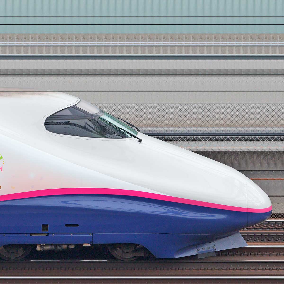 JR東日本E2系「Magical Dream Shinkansen」E223-1019の側面写真｜RailFile.jp｜鉄道車両サイドビューの図鑑
