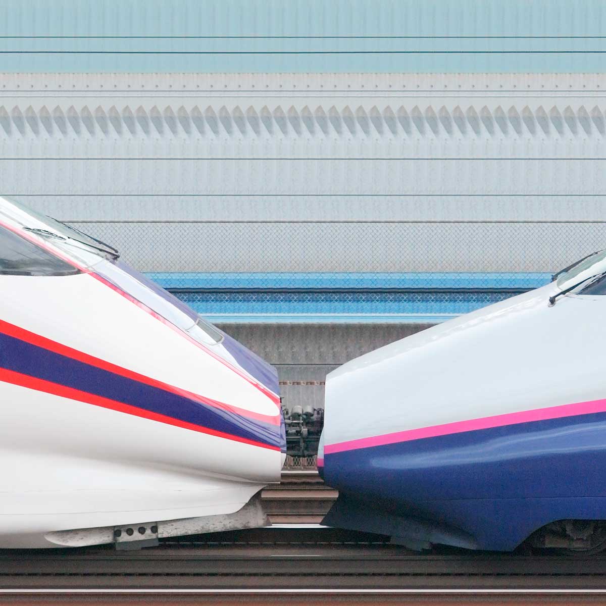 JR東日本E3系1000番台L54編成＋E2系1000番台J59編成（山側）｜RailFile.jp｜鉄道車両サイドビューの図鑑