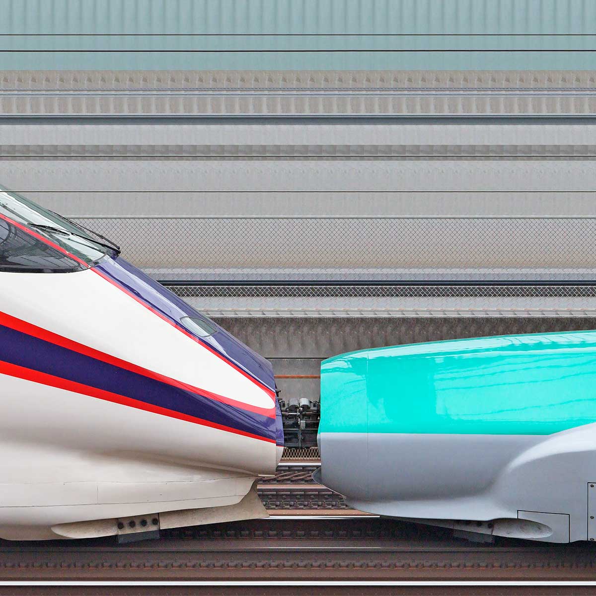 JR東日本E3系2000番台L67編成＋E5系U32編成（山側）｜RailFile.jp｜鉄道車両サイドビューの図鑑