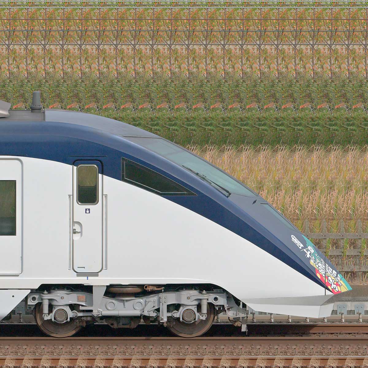 京成AE形「團十郎号」AE8-1の側面写真｜RailFile.jp｜鉄道車両サイドビューの図鑑